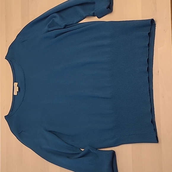 Appleseed's | Sweaters | Appleseeds Cozy Oversized Blue Sweater | Poshmark